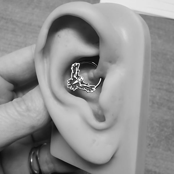 Skull Raven Septum + Daith Ring - Metal Lotus